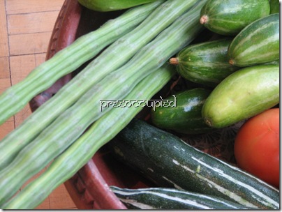 PreeOccupied: Sōjnē Dãtā Chorchori